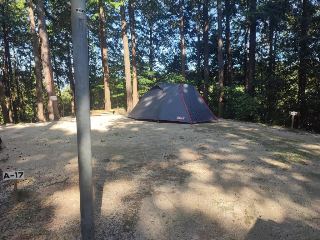 125b57dbbfcc09516751868c12db5cb1 | PANDA CAMP