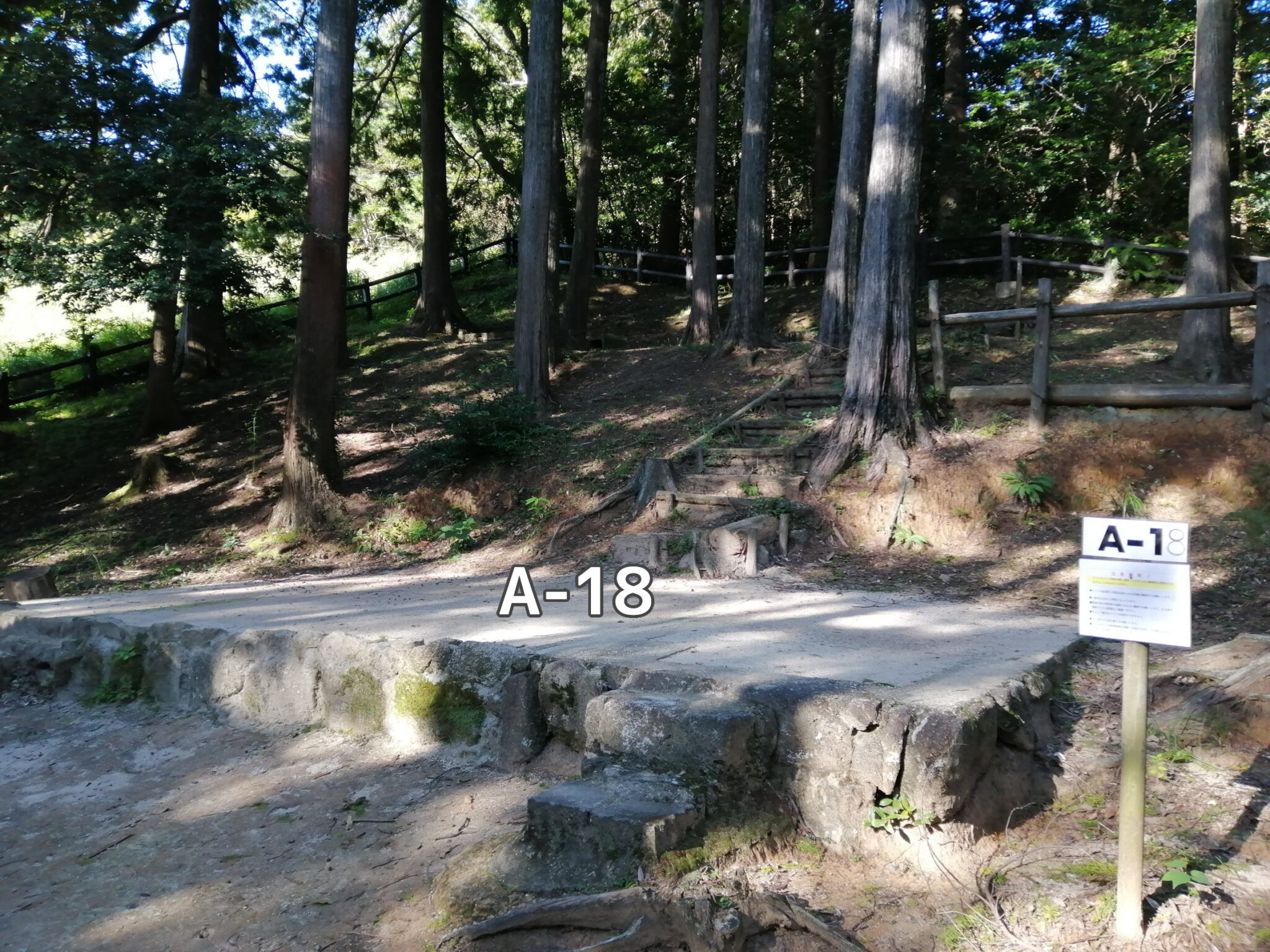 aburayama-site-a-3 | PANDA CAMP