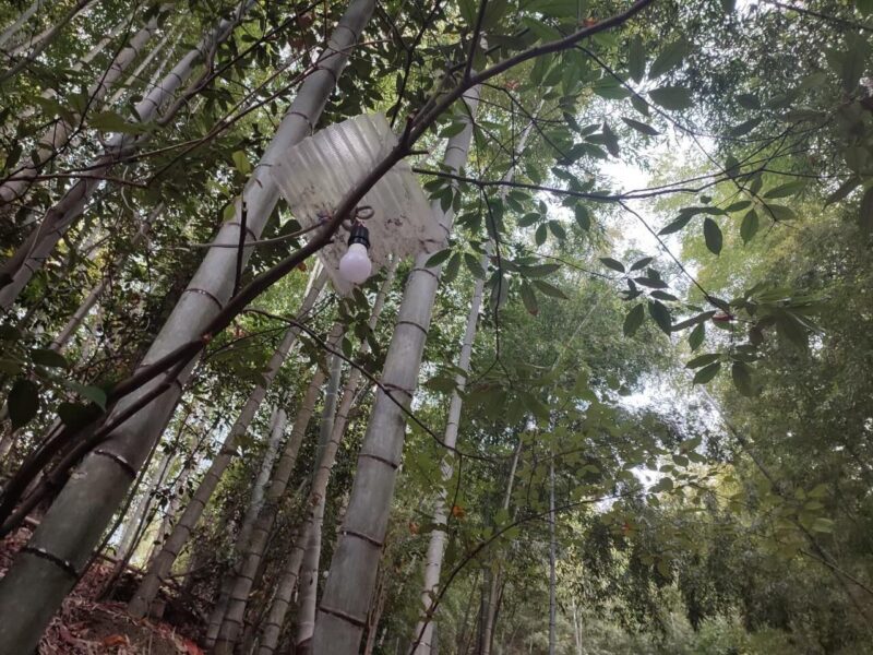 mineyashiki_91 | PANDA CAMP