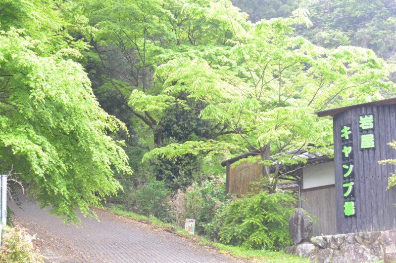 岩屋キャンプ場（福岡県）詳細レポ＆レビュー | PANDA CAMP