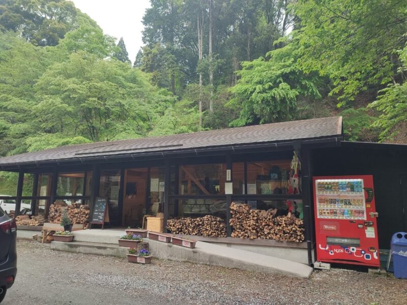 岩屋キャンプ場（福岡県）詳細レポ＆レビュー | PANDA CAMP