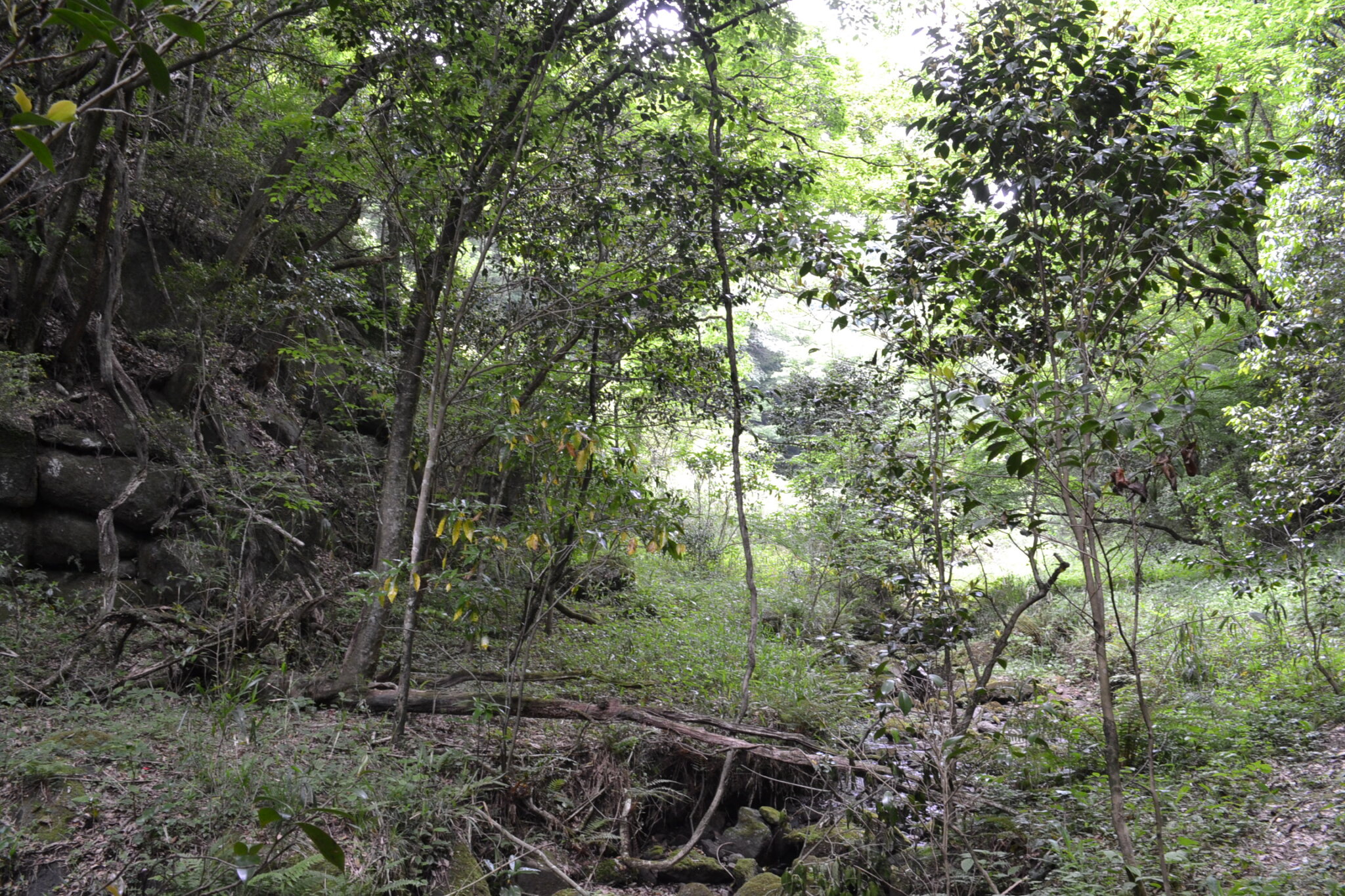 kurihaimoriasobi-099 | PANDA CAMP