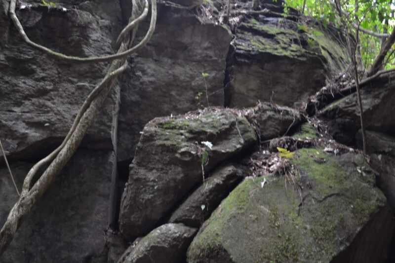 kurihaimoriasobi-108 | PANDA CAMP