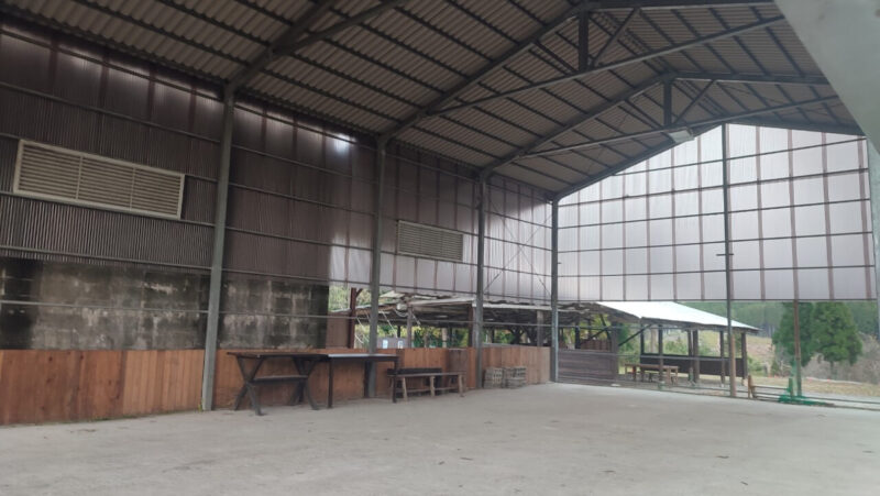 kusunomori200 | PANDA CAMP