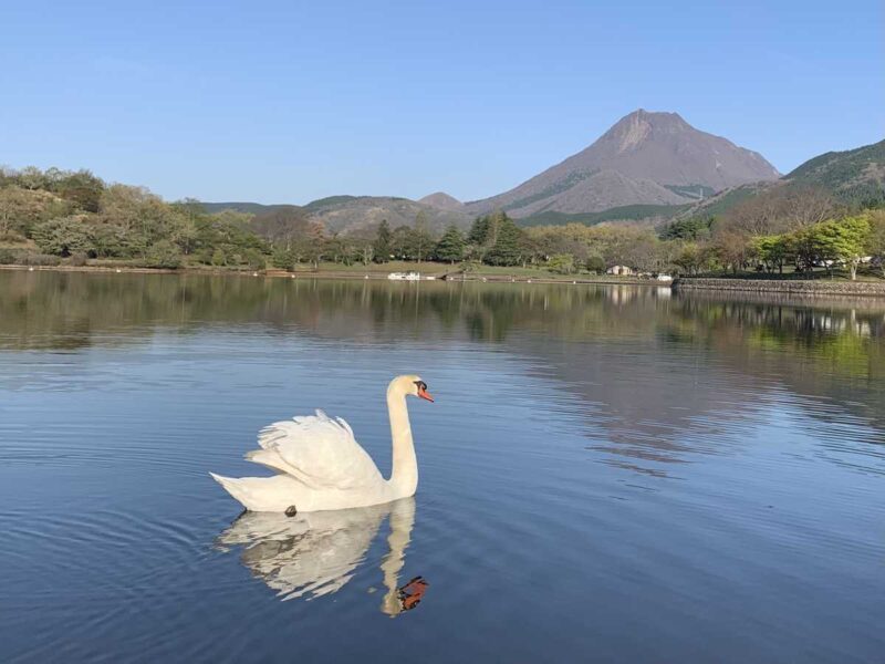 RECAMP 別府志高湖（大分県）詳細レポ＆レビュー | PANDA CAMP