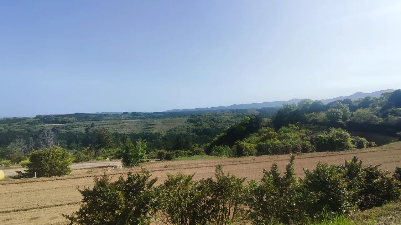 かしま自然農園キャンプ場（佐賀県）詳細レポ＆レビュー | PANDA CAMP