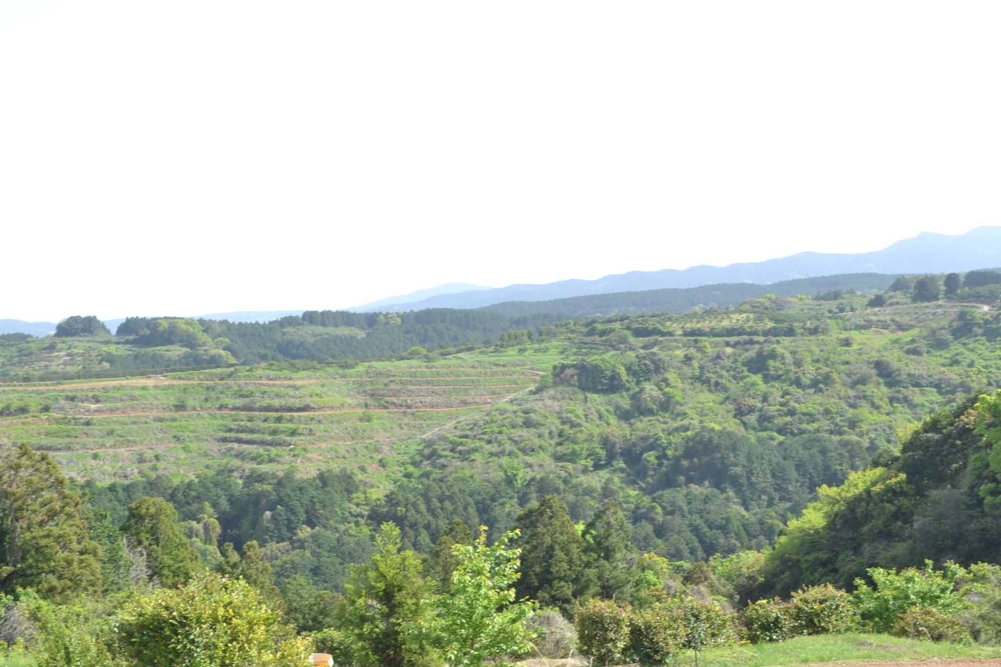 かしま自然農園キャンプ場（佐賀県）詳細レポ＆レビュー | PANDA CAMP